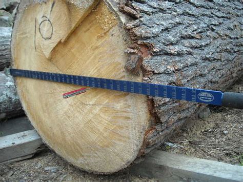 Log Scales Logrite Tools Llc
