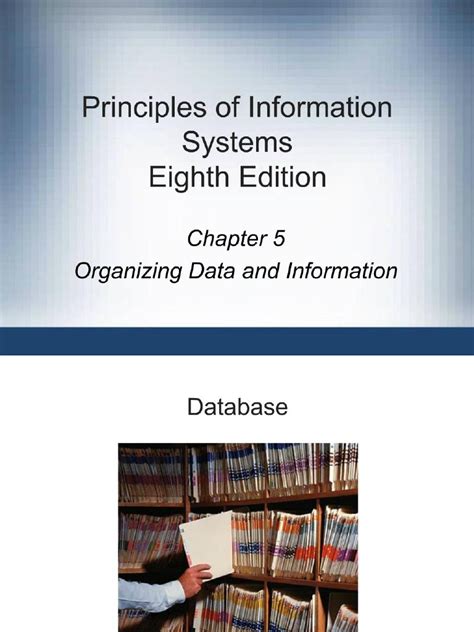 information system pdf