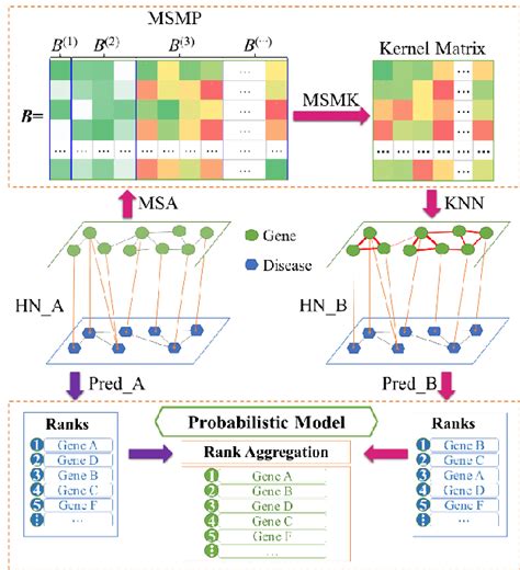 Workflow Of Hymsmk For Integrating Multiscale Module Kernel By Rank
