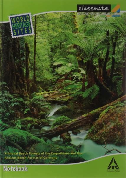 Classmate Long Notebook Single Line 304 Pages 29 7 X 21 Cm 8902519011329 Universal