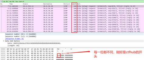 Ctfhub技能树 Misc 流量分析 Icmpword文档在线阅读与下载免费文档