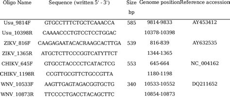 Primers For Viral Cloning In Pgem T Vector Download Scientific Diagram