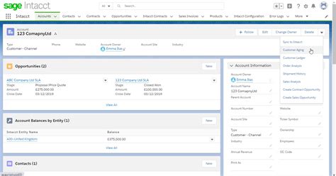 Sage Intacct And Salesforce Integration