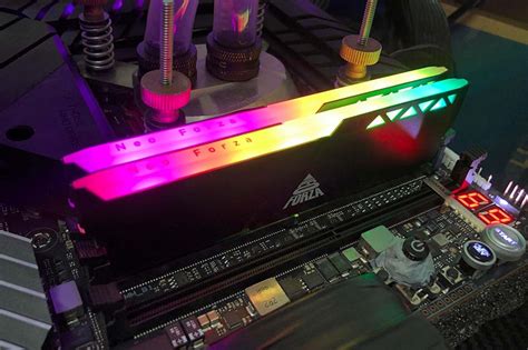 Review Ram Ddr5 Neo Forza Led Rgb Bulls Eavn