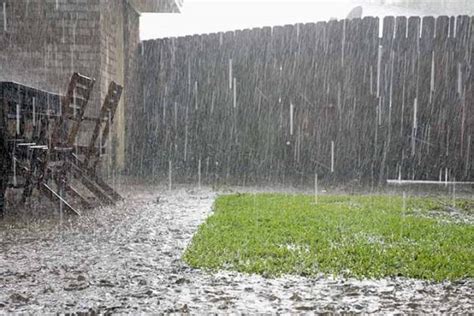 How To Use A Rain Gauge To Monitor Irrigation Needs