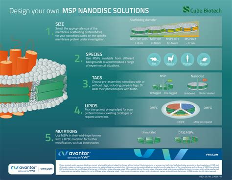 Sankara Narayanan On Linkedin Msp Nanodisc Solutions
