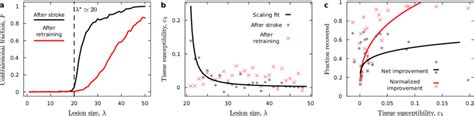 Second Order Phase Transition Mediating Som Reorganization After