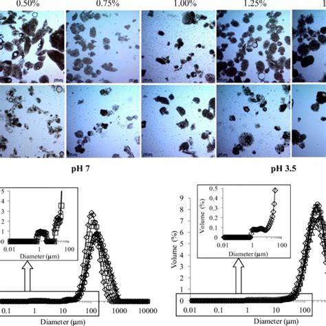 Microstructure And Particle Size Distribution Of Microbeads Composed By
