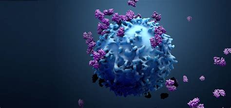 رشته سرطان شناسی آنکولوژی فن‌تیوب