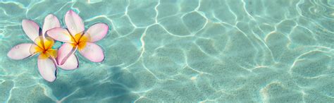 Codependency And Toxic Relationships Holos Counseling