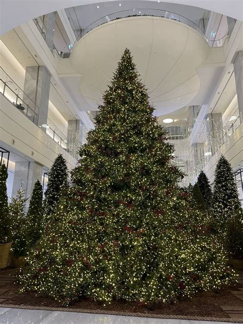 작년에 크리스마스 트리 구경 간거 생각난다 사진 ㅇ 인스티즈instiz 익명잡담 카테고리