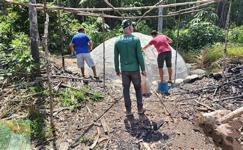 RABO DE FOGO IPAAM DIVULGAÇÃO III IPAAM IPAAM