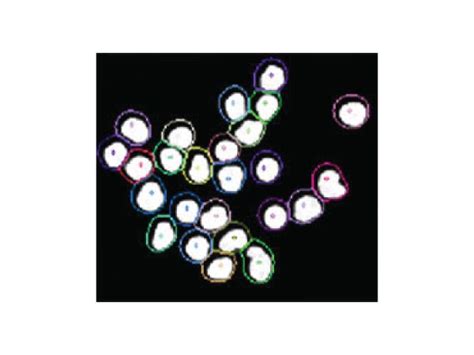 CODEX Data Visualization ILC