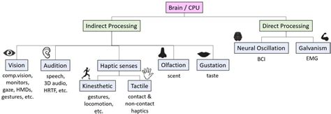Figure 1 From Technologies For Multimodal Interaction In Extended Reality A Scoping Review