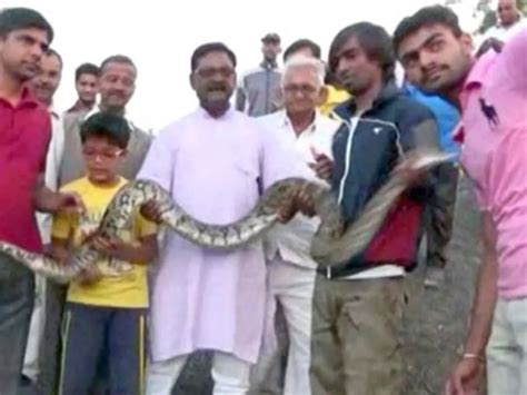 Rajasthan Man Tries Taking A Selfie With A Python You Can Guess What