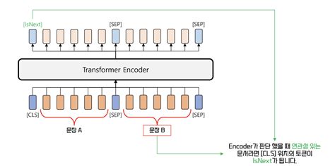 Transfomer Based Models