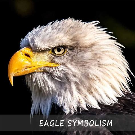 Eagle Symbol Artofit