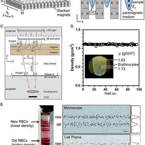 Maglev Based On Lensless Digital Inline Holographic Microscopy A