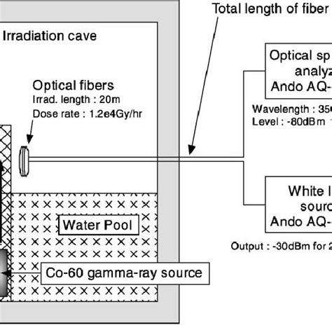 Schema Of Irradiation Setup In Cobalt 60 Gamma Ray Irradiation Facility