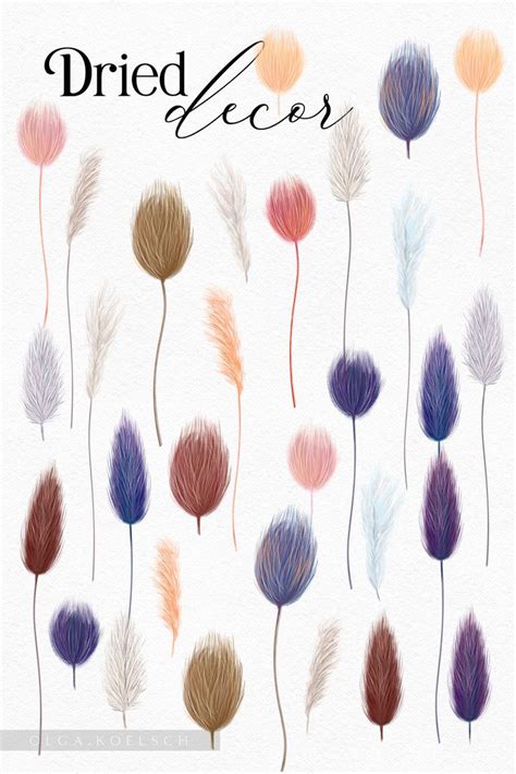 Pampas Grass Clipart Modern Dried Floral Clipart Autumn Clipart With