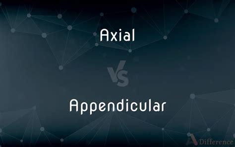Axial Vs Appendicular Whats The Difference