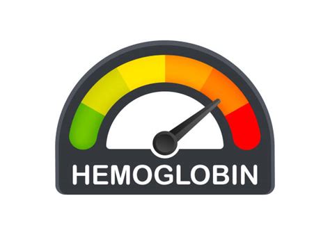 4600 Hemoglobin Stock Illustrations Royalty Free Vector Graphics