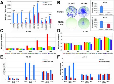 Colony Formation Cell Viability And Polyamine Levels In Dfmo Treated