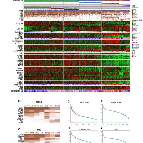 Final Classification Of The Training Data A The Final Classification Download Scientific