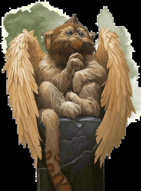 Flying Monkey Pets