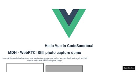 Test Webrtc Vue Codesandbox