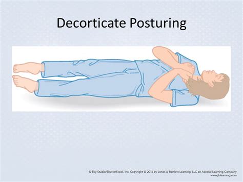 History And Physical Examination Ppt Video Online Download