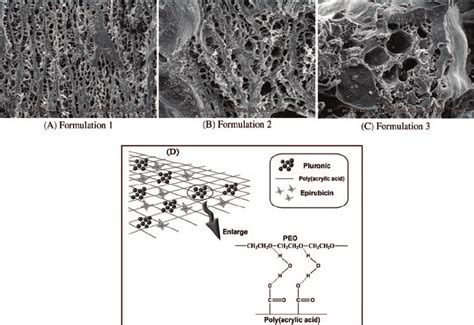 sem micrographs of a formulation 1 b formulation 2 and c
