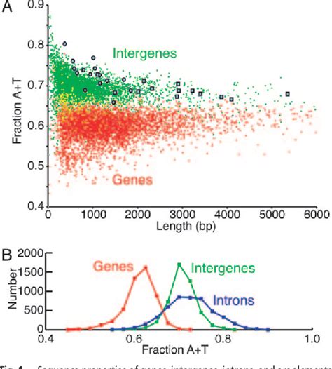 Figure 1 From Dna Replication Origins In The Schizosaccharomyces Pombe