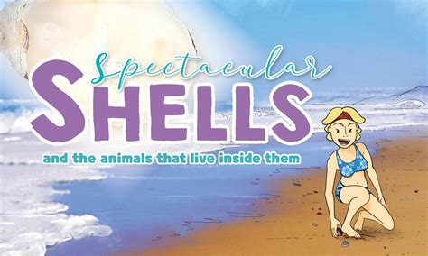 Ocean Archives Supernova