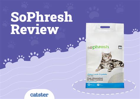 So Phresh Cat Litter Review Of 2026 Recalls Pros And Cons Catster