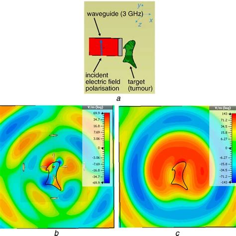Applied Incident Electric Field At 3 Ghz A Illuminated Tumour B Ey