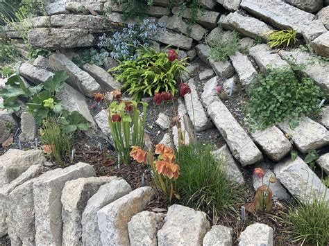 Juniper Level Botanic Garden Juniper Level Botanic Garden