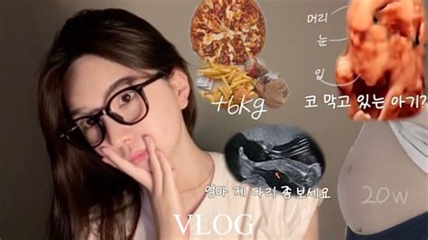 Vlog 임신 19~20주 초음파 임산부 일상 다시 시작된 먹덧🐷 Youtube