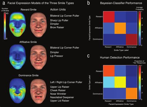 Results From Studies 1 And 2 Facial Expression Patterns Of The Three
