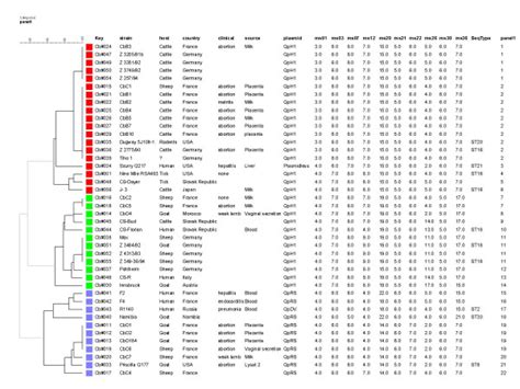 Dendrogram Construct From Mlva Panel 1 Data Of The42 C Burnetii
