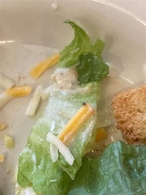 Ru Ru Rah Rah Thank You Rutgers For The Extra Protein Rrutgers