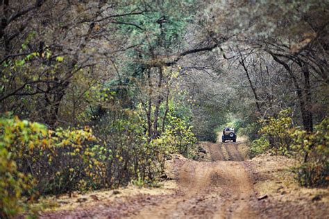 Python参数类型定义、私有函数与变量、全局变量 Python参数类型定义、私有函数与变量、全局变量