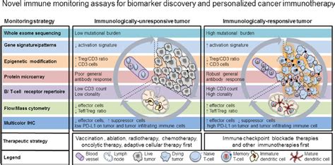 High Throughput Immune Assessment For Biomarker Discovery And