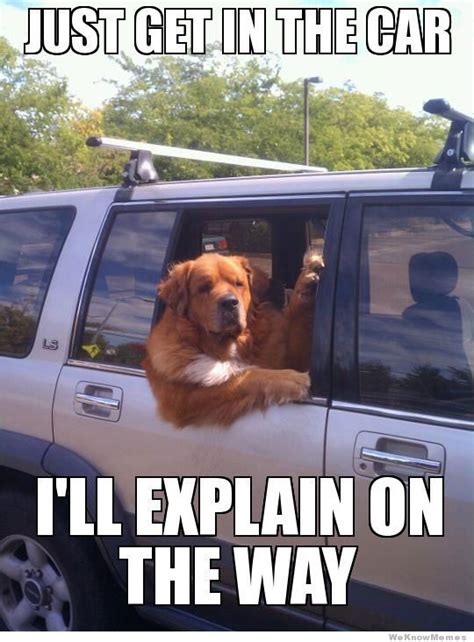 Discover 20 Body Shop Humor And Humor Ideas On This Pinterest Board
