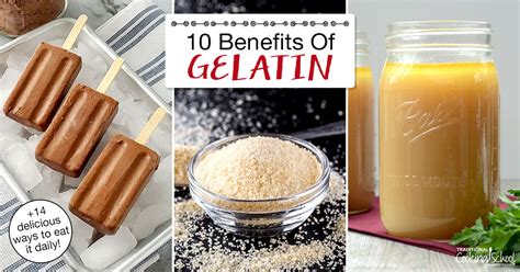 Gelatin Ingredients