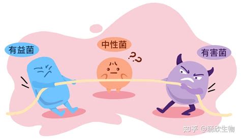 肠道里的“隐形管家”：揭秘肠道菌群如何影响你的健康 知乎