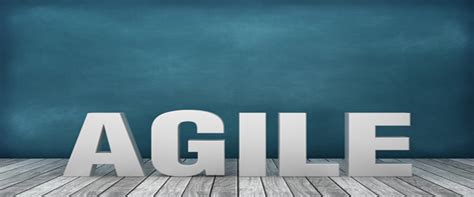 Agile Business Process Management Managtra