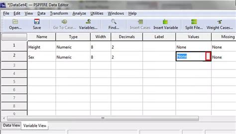 Best Statistical Software R Vs Sas Vs Spss Vs Pspp Vs Sage Rocky Bytes