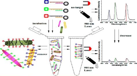 Graphical Representation Of Bacterial Detection Based On A Multiplexed