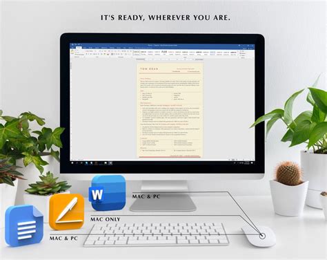 Software Engineer Resume Web Developer Resume Software Developer Cv